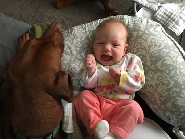 Introducing Your Pet to a New Baby